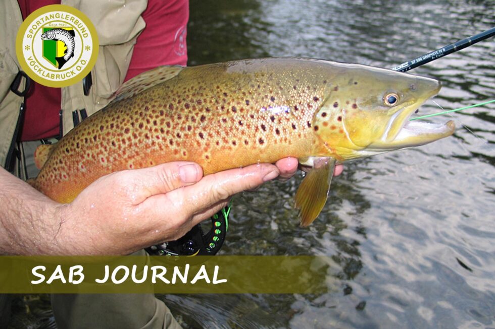 SAB Aktuell | SAB Sportanglerbund VB