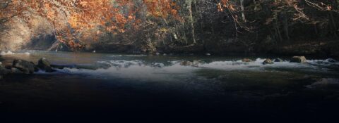 SAB Mitgliedschaft | SAB Sportanglerbund VB